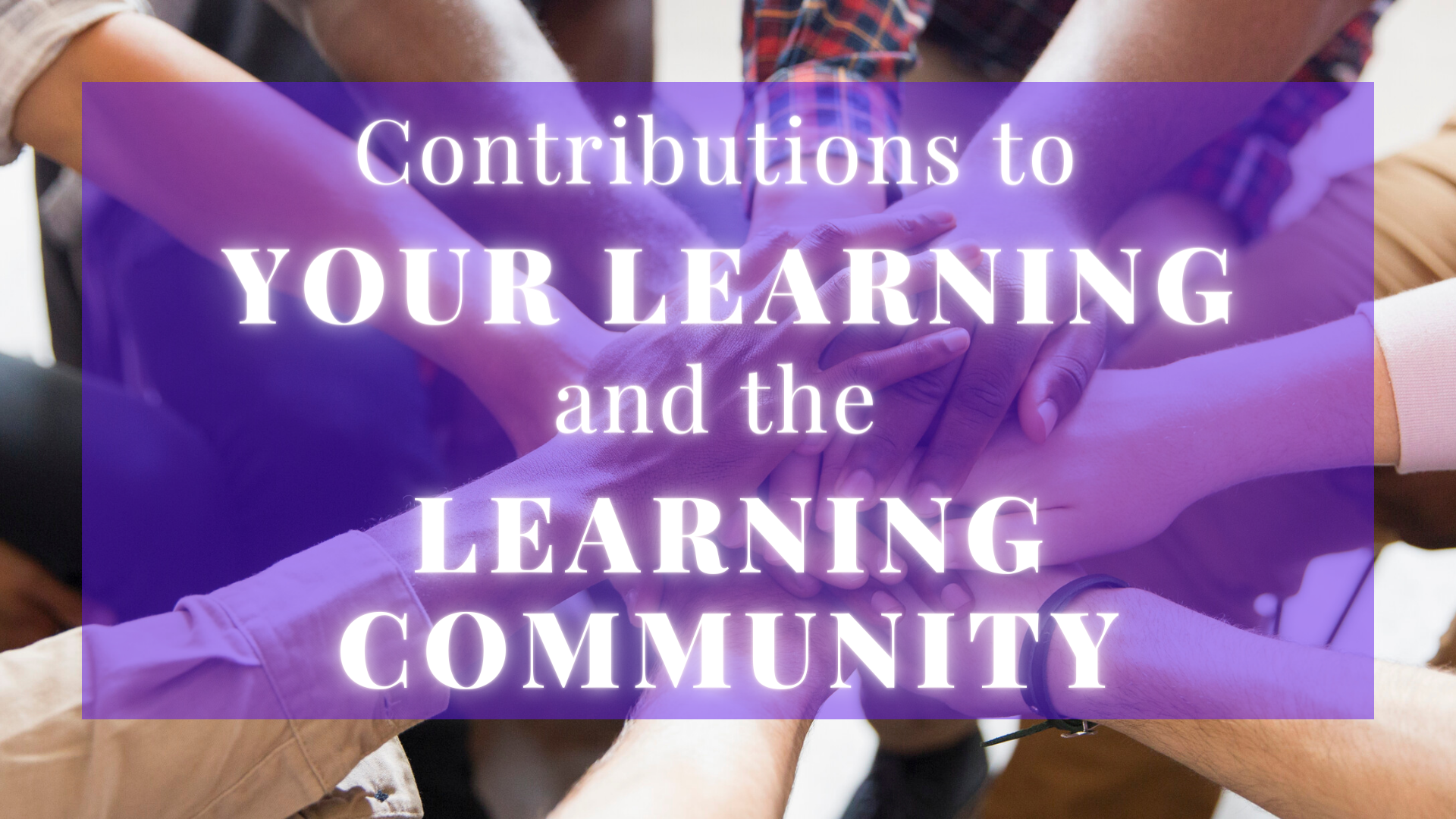 Contributions to Your Learning and the Learning Community (3rd Edition ...